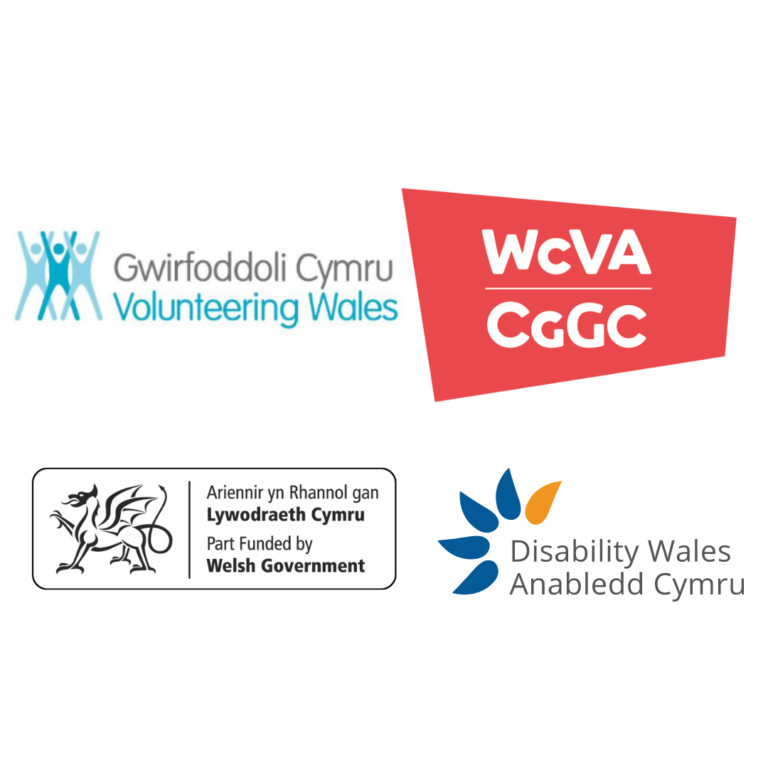 Projects Archive - Disability Wales